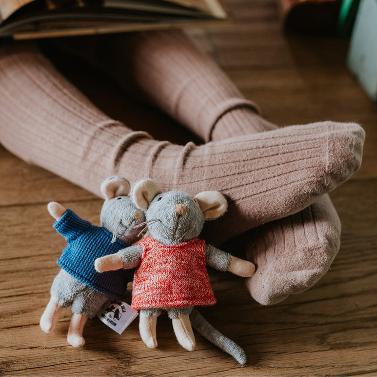 Discover the Mouse Mansion | Book Bundle Deal | Sam & Julia